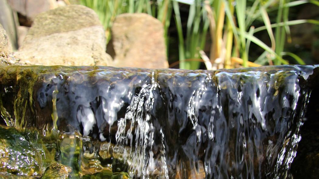Quellen und Bäche | NaturaGart Park | Teichpark in Ibbenbüren